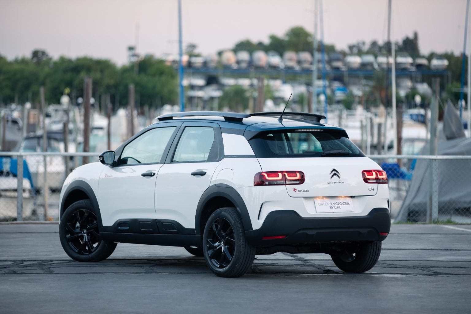 Citroën C4 Cactus Rip Curl, una edición especial de espíritu joven ...